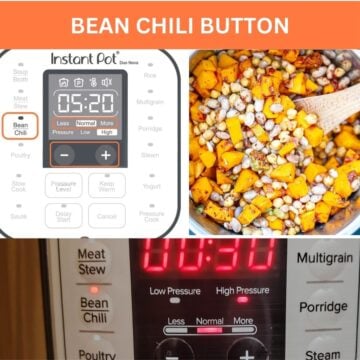 Understanding Instant Pot Settings And Instructions