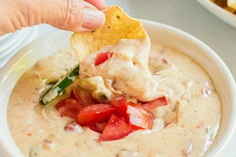 Delicious Instant Pot Dip Recipes