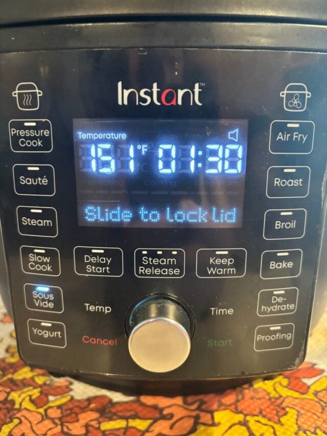 Sous Vide Instant Pot: A 2024 Beginners Guide