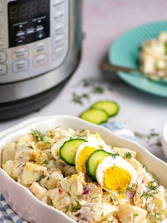 How Does Instant Pot Work And What Is It