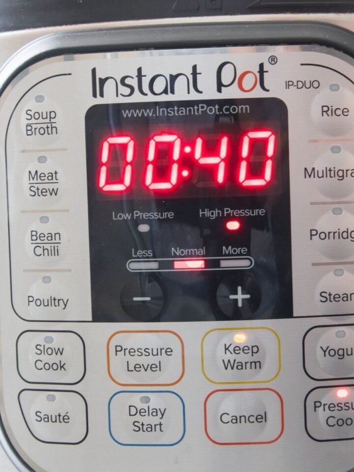 Instant Pot Basics - Learn How To Master Your Pressure Cooker