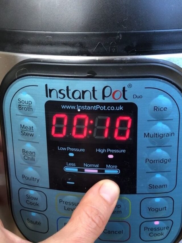 Instant Pot Natural Release - A World Of Flavor Awaits!