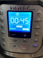 Instant Pot Basics - Learn How To Master Your Pressure Cooker