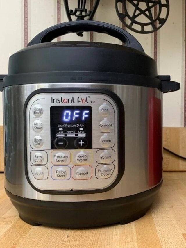 Instant Pot Natural Release - A World Of Flavor Awaits!