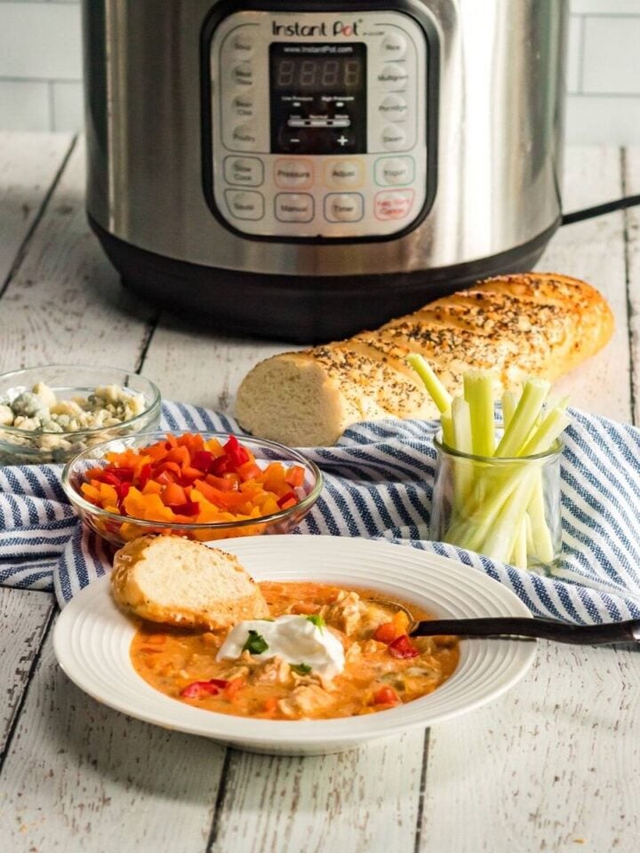 Instant Pot Basics - Learn How To Master Your Pressure Cooker