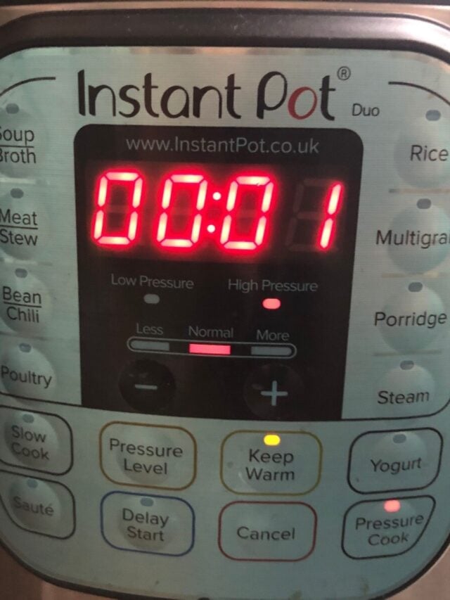 Instant Pot Delay Start - Time Your Meals Perfectly!