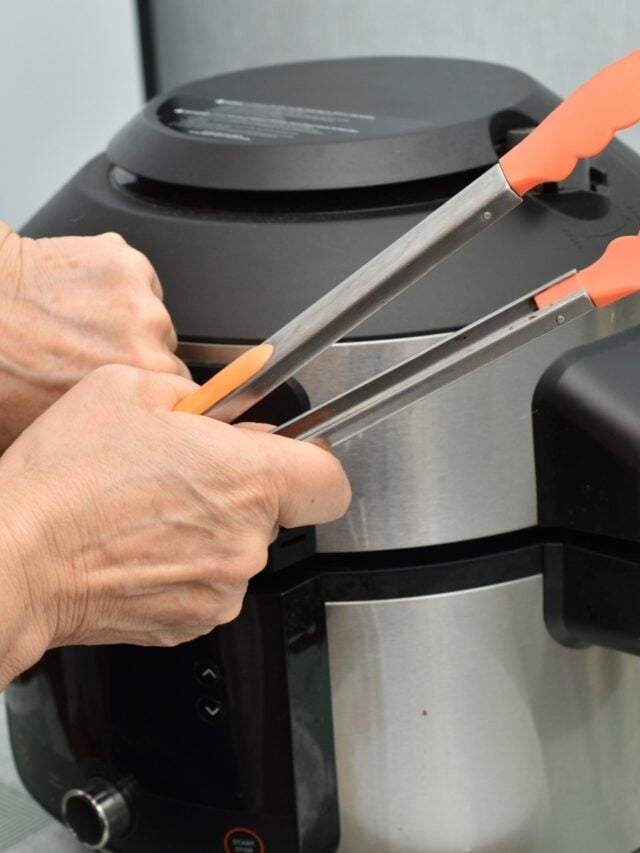 Instant Pot Vs Duo: All You Need To Know!